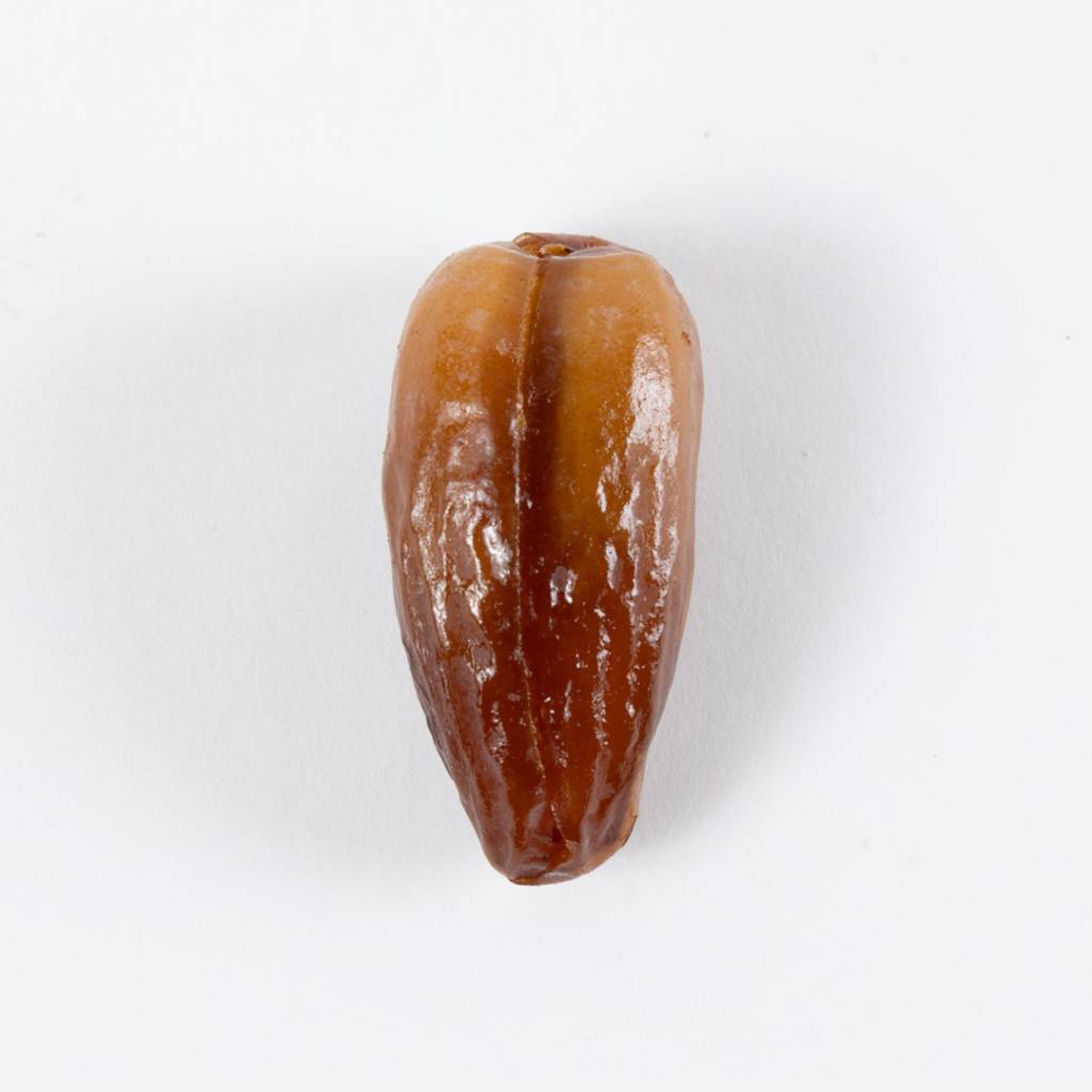 Deglet Noor Mumtaz SL – تمور البركة